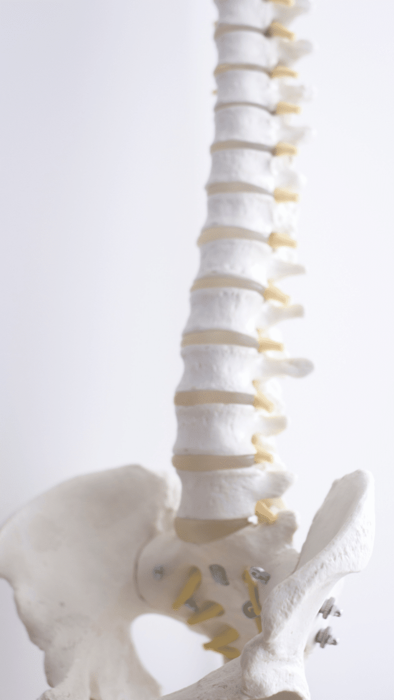 Chronic Low Back Pain - New WHO Guidelines goPhysio